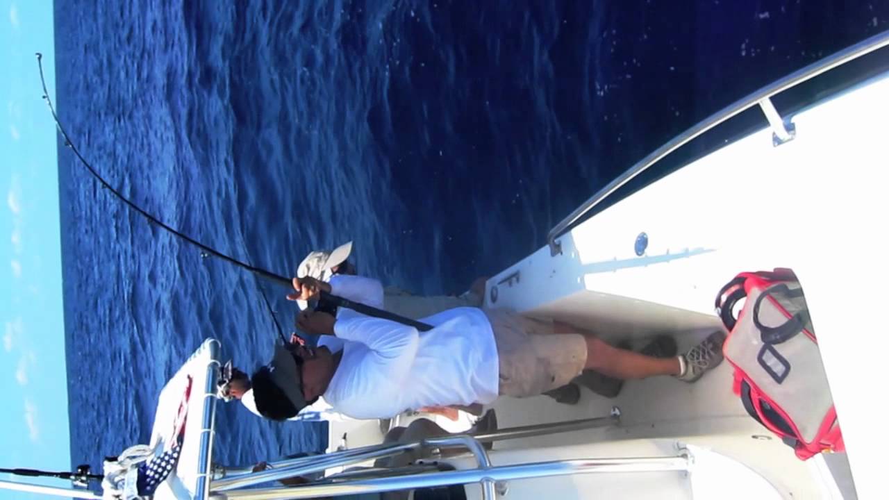 Team Fishless - YouTube