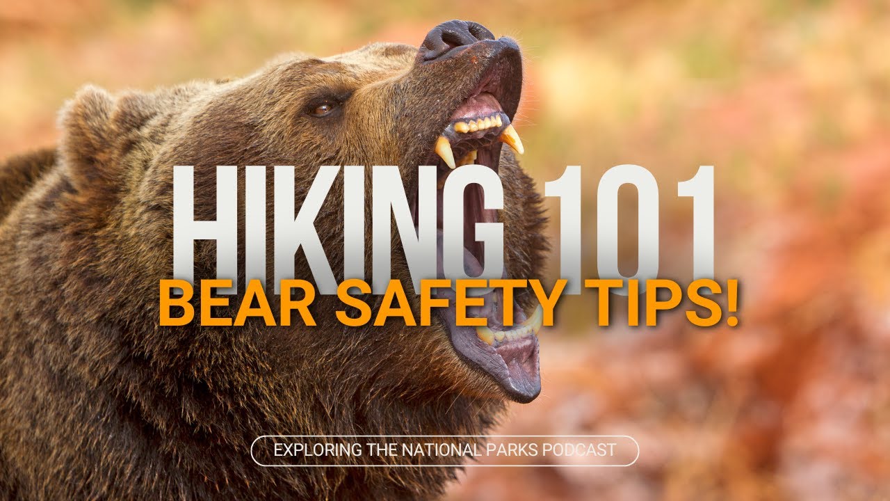 114: Bear Safety Tips! - YouTube