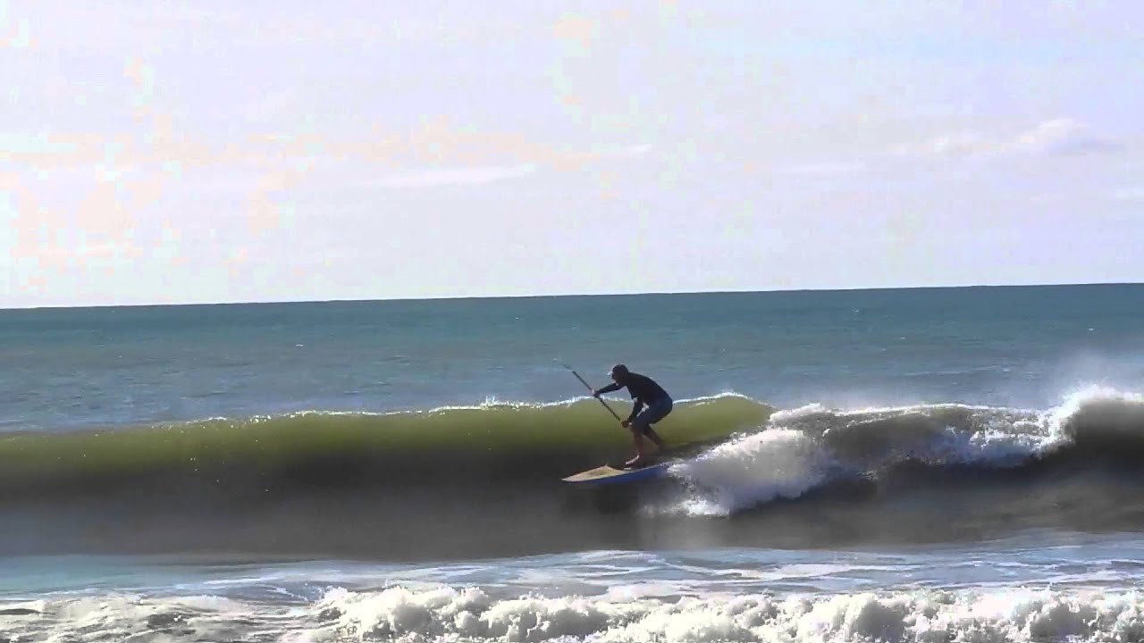 June (Surf) Bug - YouTube