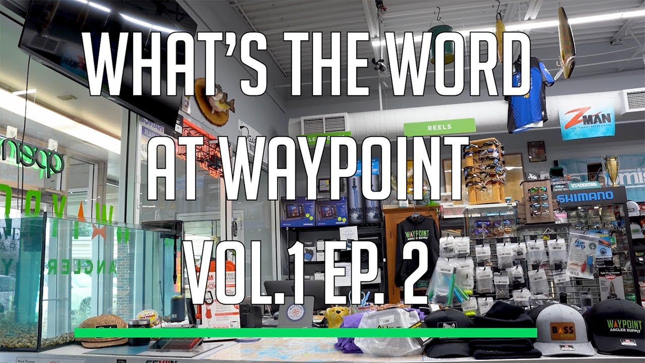 Waypoint Presents: What's the Word at Waypoint | Vol. 1 Ep. 2 - YouTube