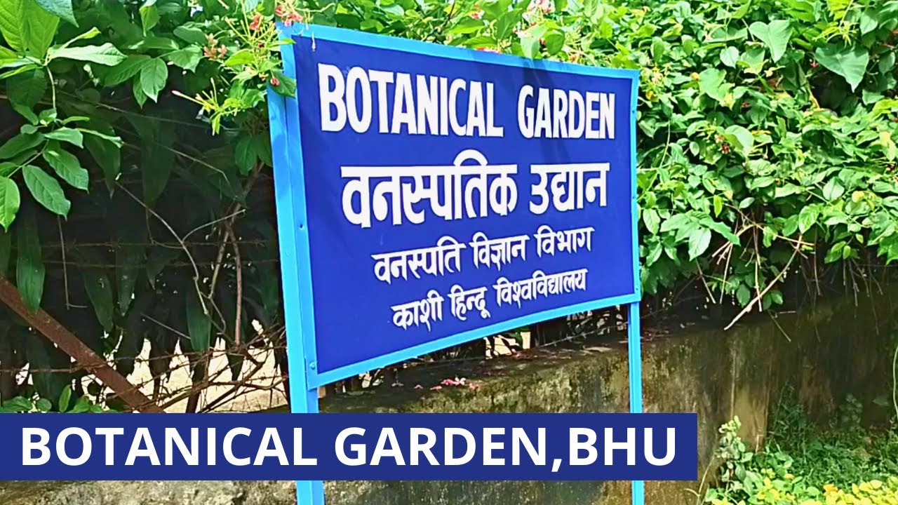 वनस्पति उद्यान BHU | BOTANICAL GARDEN BHU | VARANASI | RISHABH GUPTA ...