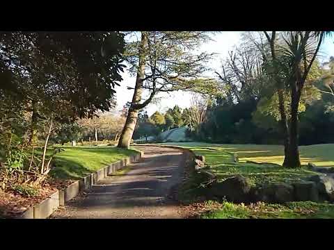 Saturday morning walk@ stoneham park - YouTube
