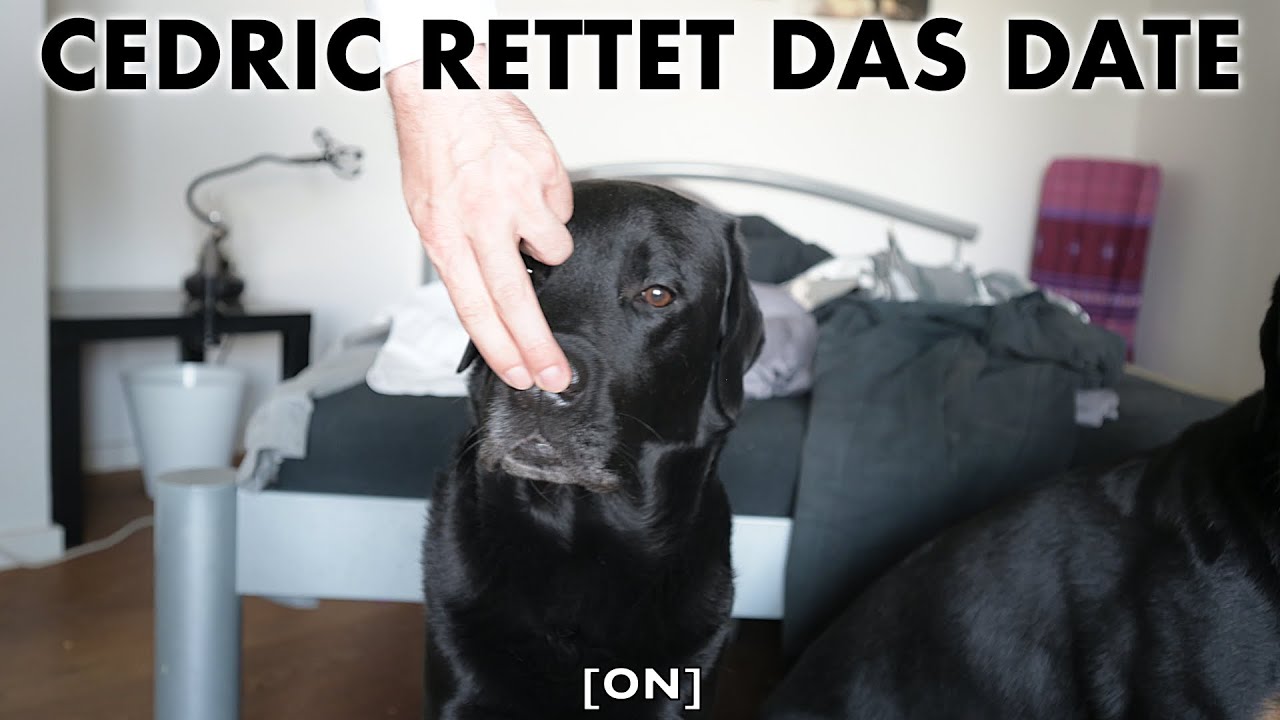 Cedric der Labrador - 216 | Cedric rettet das Date - YouTube