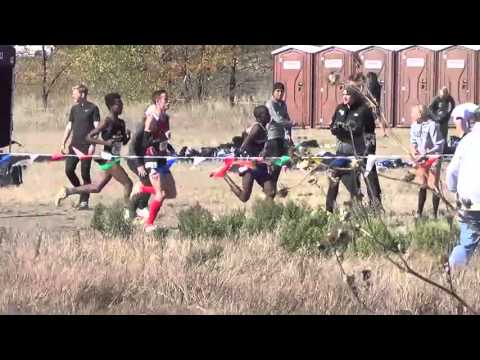 Adams State Men's Cross Country NCAA DII South Central Regional 2015 ...