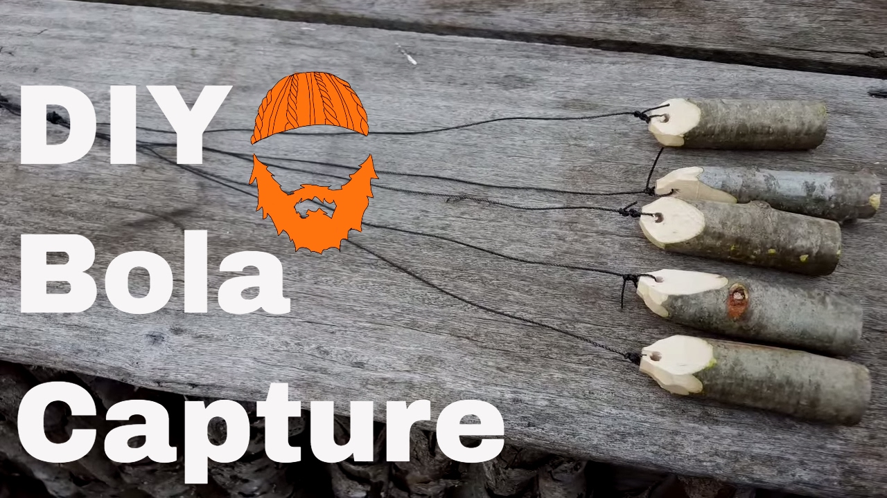 DIY Rooster Bola and how to catch a rooster - YouTube