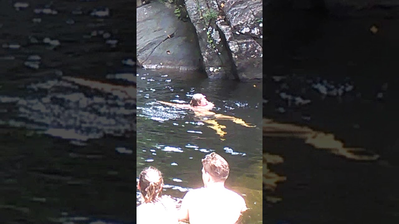 Swimming with nature - YouTube