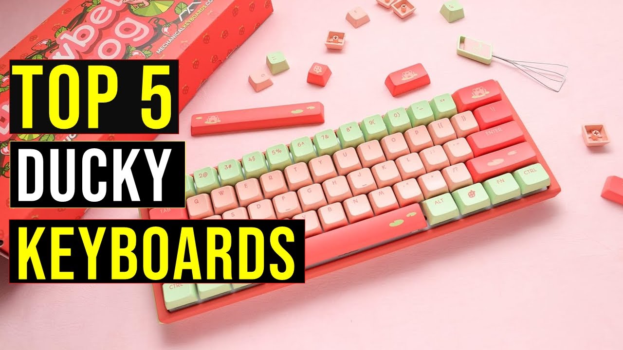 Top 5: Best Ducky Keyboards in 2024 - The Best Ducky Keyboards [Reviews ...