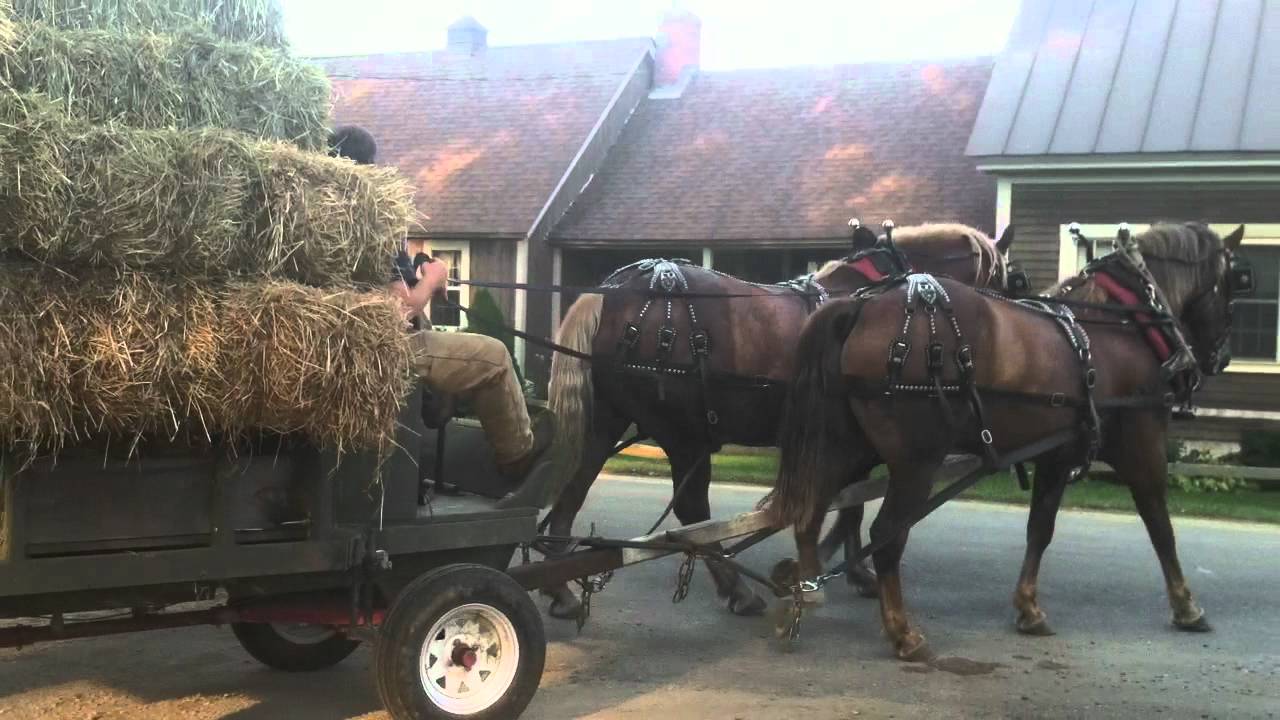 Hay Moving - YouTube