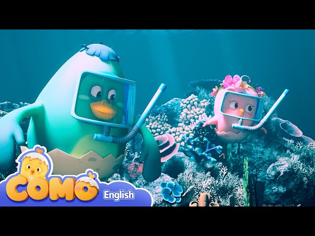 Curious Como2 | Why Is That? Discover with Curious Como 🔍😮 - Videos For ...