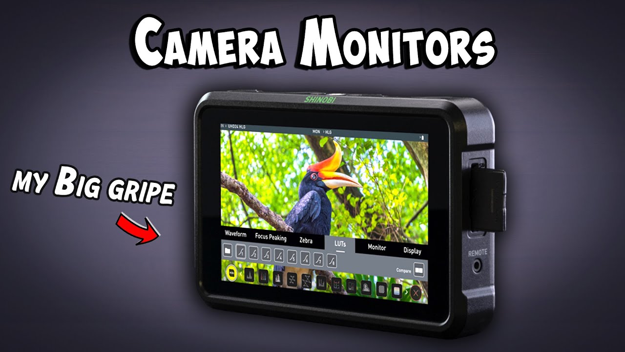 The Problem I Have With Every External Camera Monitor Like The Atomos ...