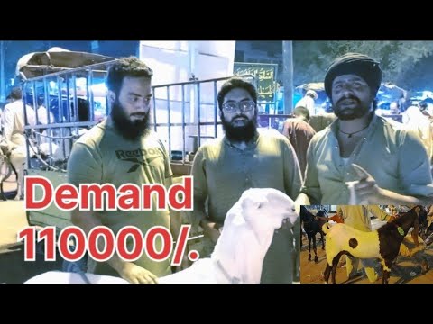 Animal Mandi Fresh price's Must Watch - YouTube