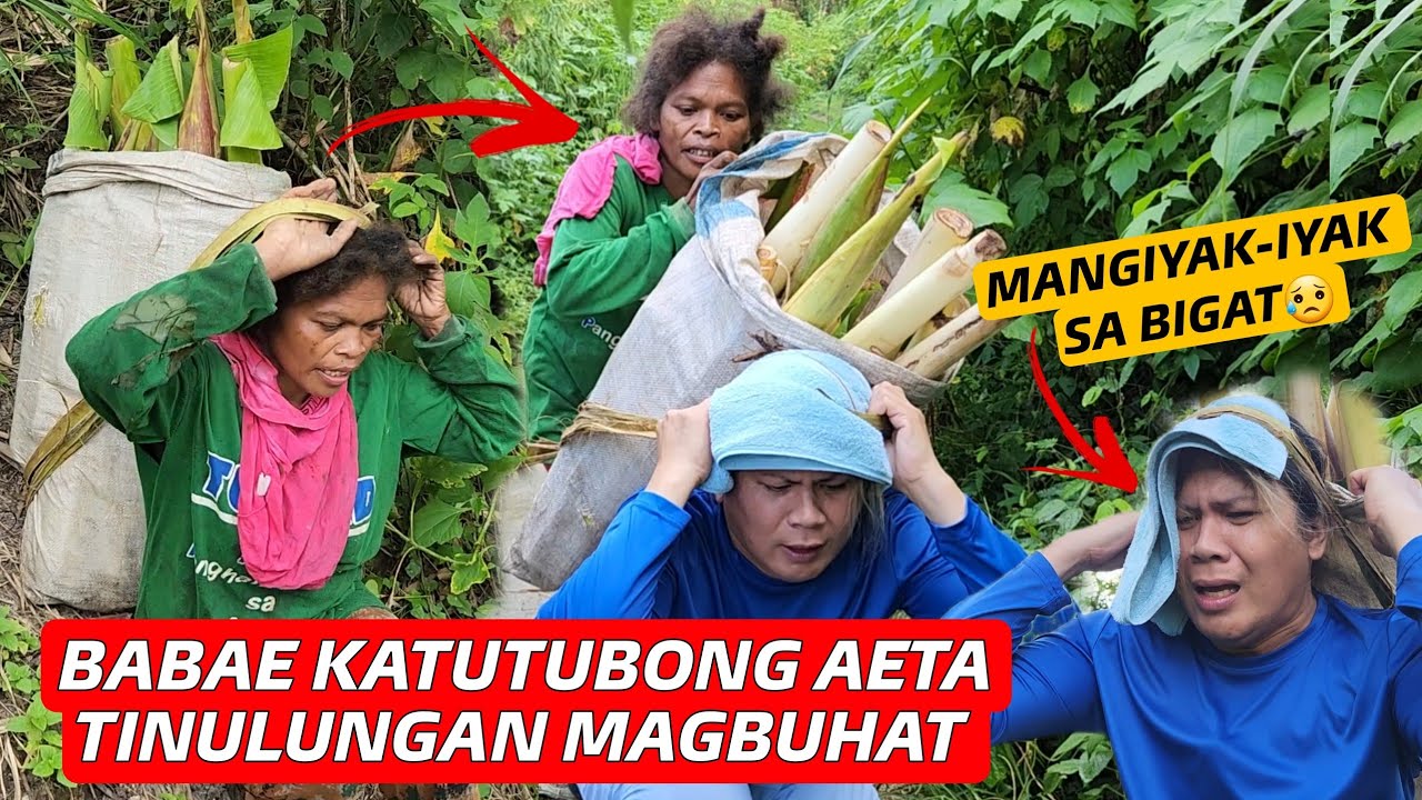 AMING TINULUNGAN BABAENG KATUTUBONG AETA NAGBUBUHAT NG PUSO NG SAGING ...
