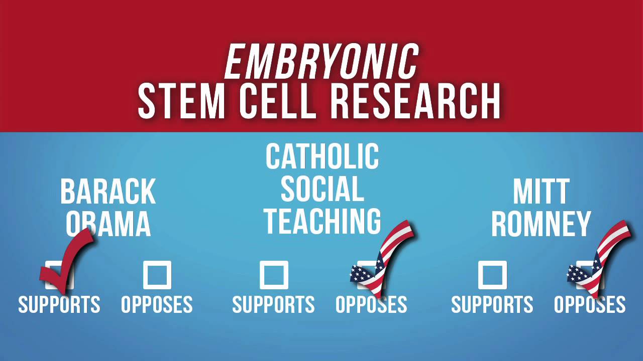 Catholic Voter's Education Guide Video - YouTube