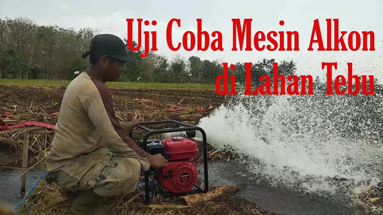 Mesin Alkon Full Gass di Lahan Tebu - YouTube