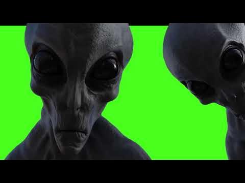 Green Screen Aliens Grey Alien Looking At You Moving Aliens No ...