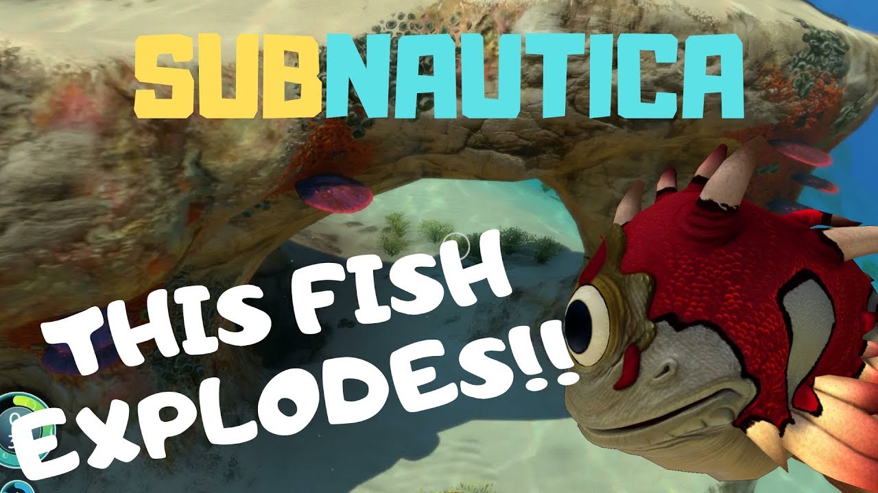 THIS FISH EXPLODES!! SUBNAUTICA EP.1 - YouTube