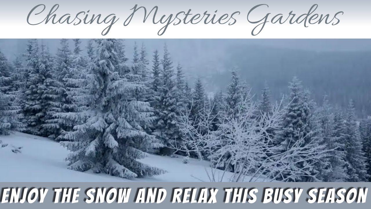Holiday Music: Enjoy the snow with this music for Meditation, Stress ...