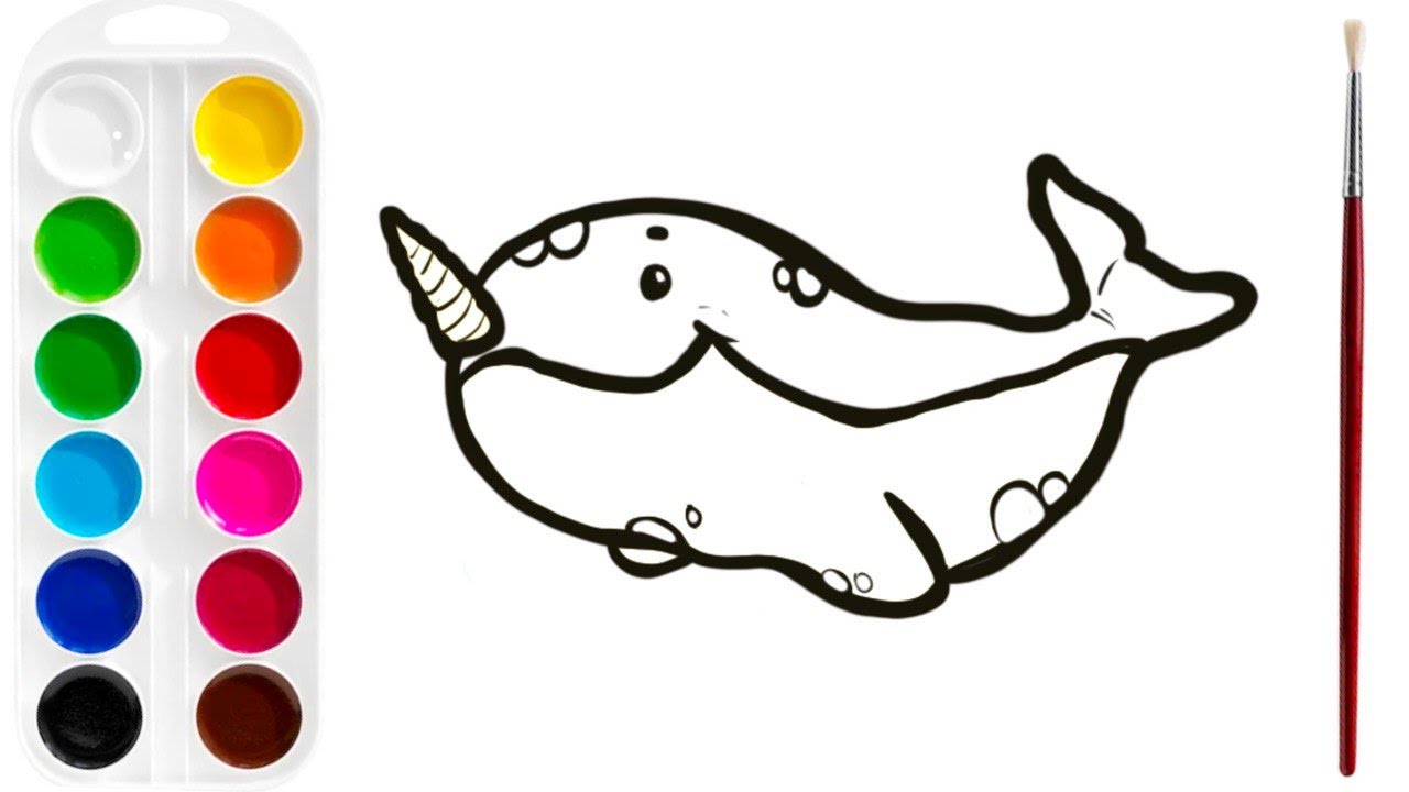 Narwal Painting and Coloring for Kids, Narwal for kids Drawing, | Let's ...