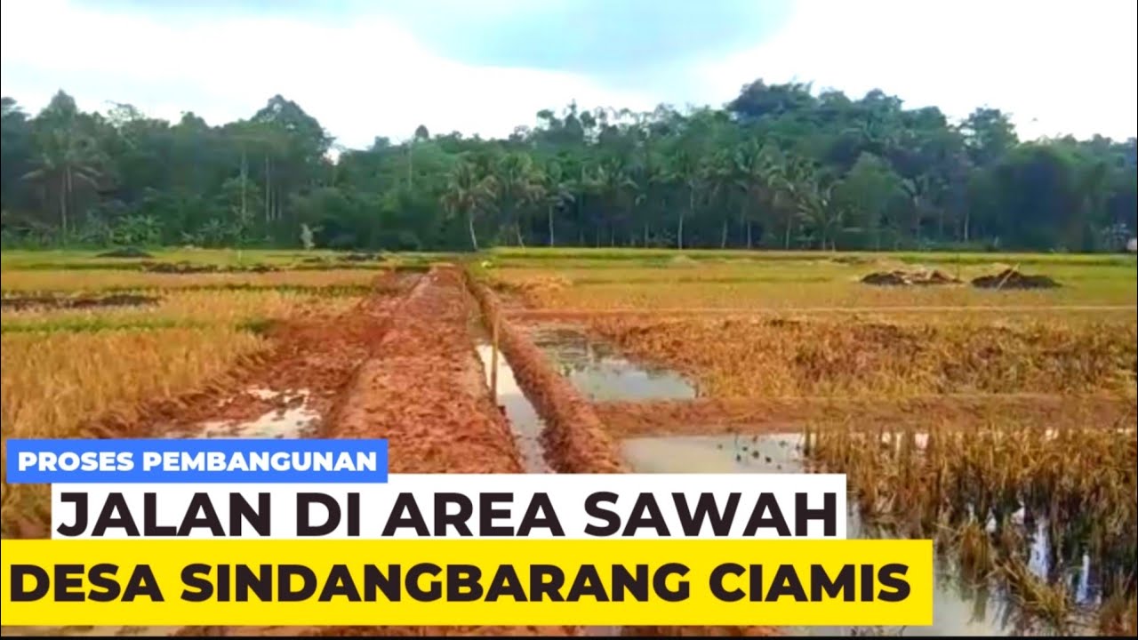 Membangun jalan di sawah | Desa Sindangbarang Ciamis Jawa Barat - YouTube