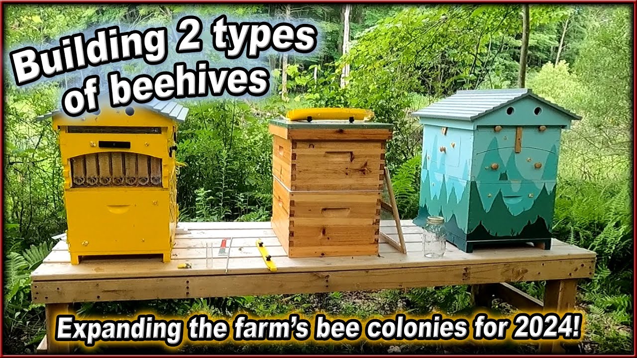 🍯🐝🐝🐝 Building TWO types of beehives for the farm 🐝🐝🐝🍯 - YouTube