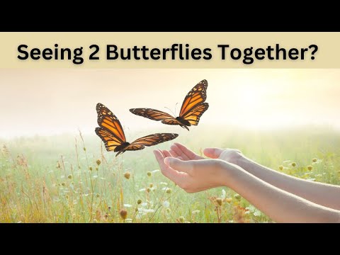 Why Do I See Two Butterflies Flying Together
