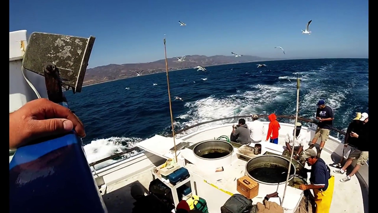 Channel Islands CA Deep Sea Fishing - YouTube