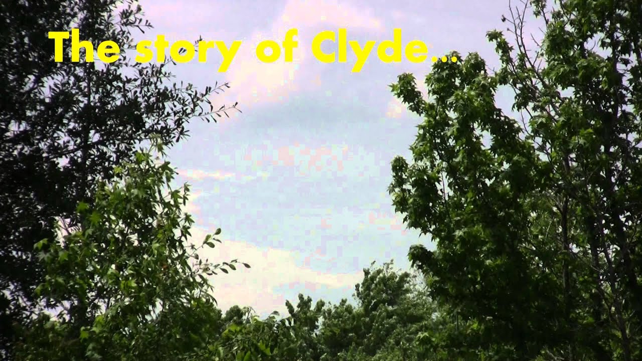 Clyde - YouTube