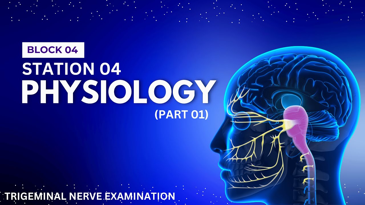 Station 04 | Part 01 | Block 04 | Ultimate OSPE Guide | Dr Awais Haral - YouTube