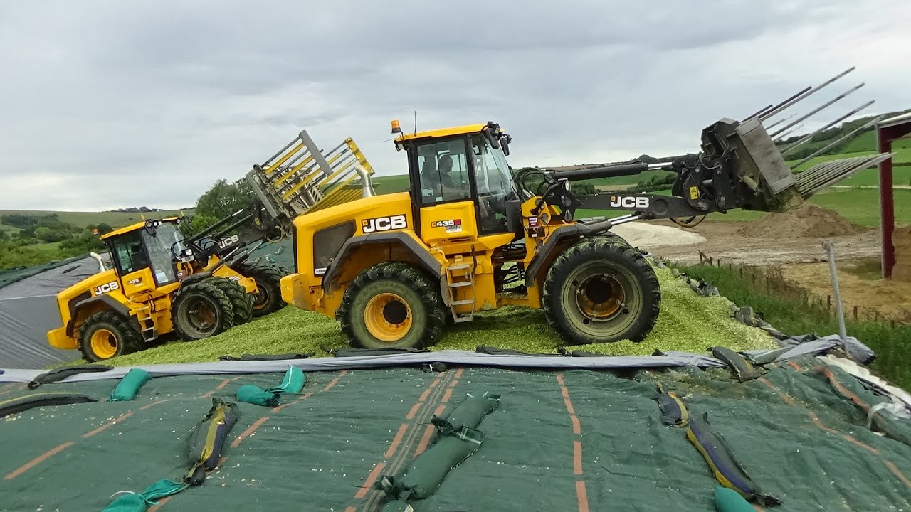 Maize Harvest 2022 - Buckraking on the Pit with TWO JCB 435s - YouTube