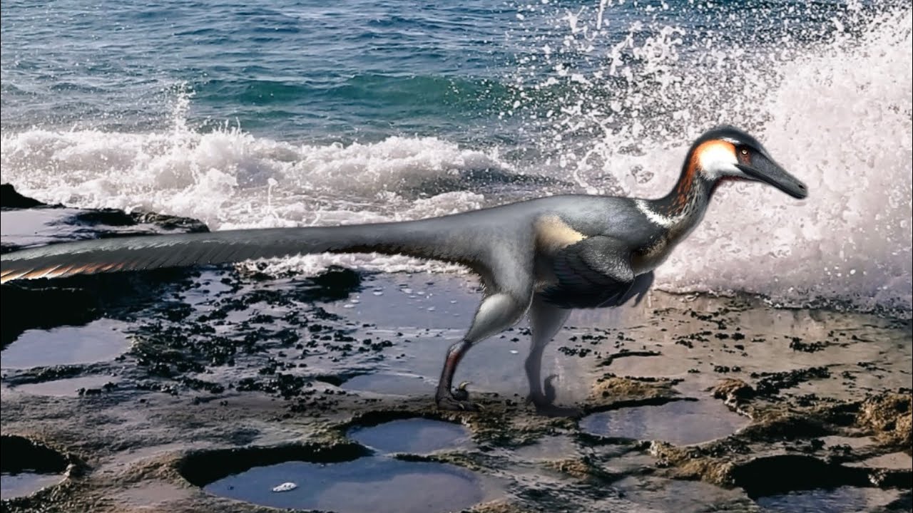 Austroraptor Sounds - YouTube