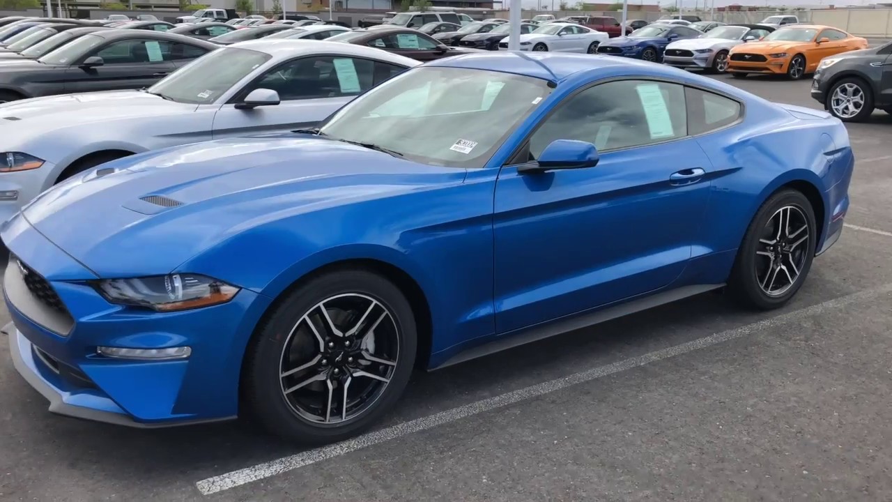 2019 Velocity Blue Ecoboost Mustang - YouTube