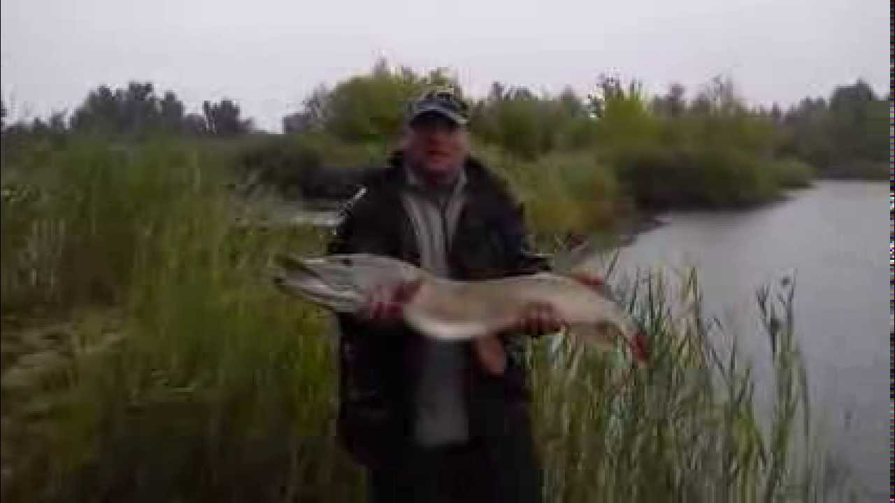 89cm Pike on Kira Scorpion Popper - YouTube