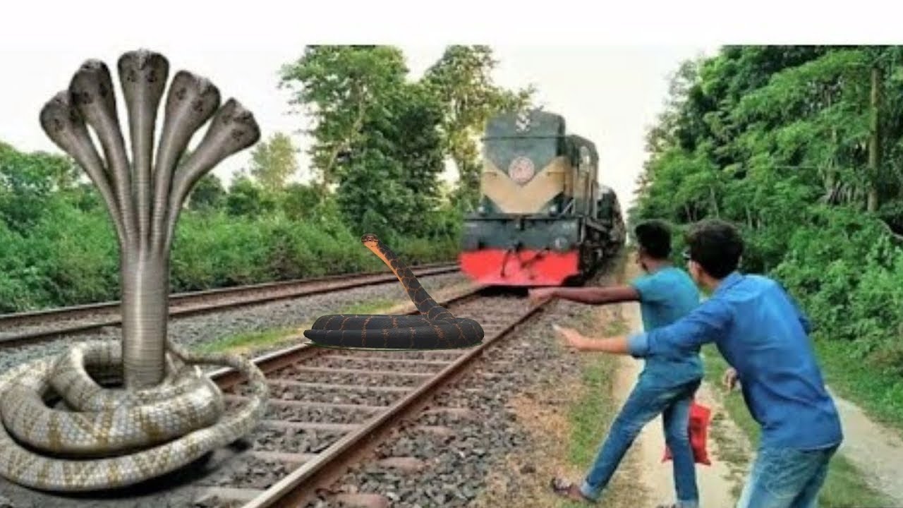 Five Head Snake and Anaconda Stops The Train To Save Baby And Escapes ...