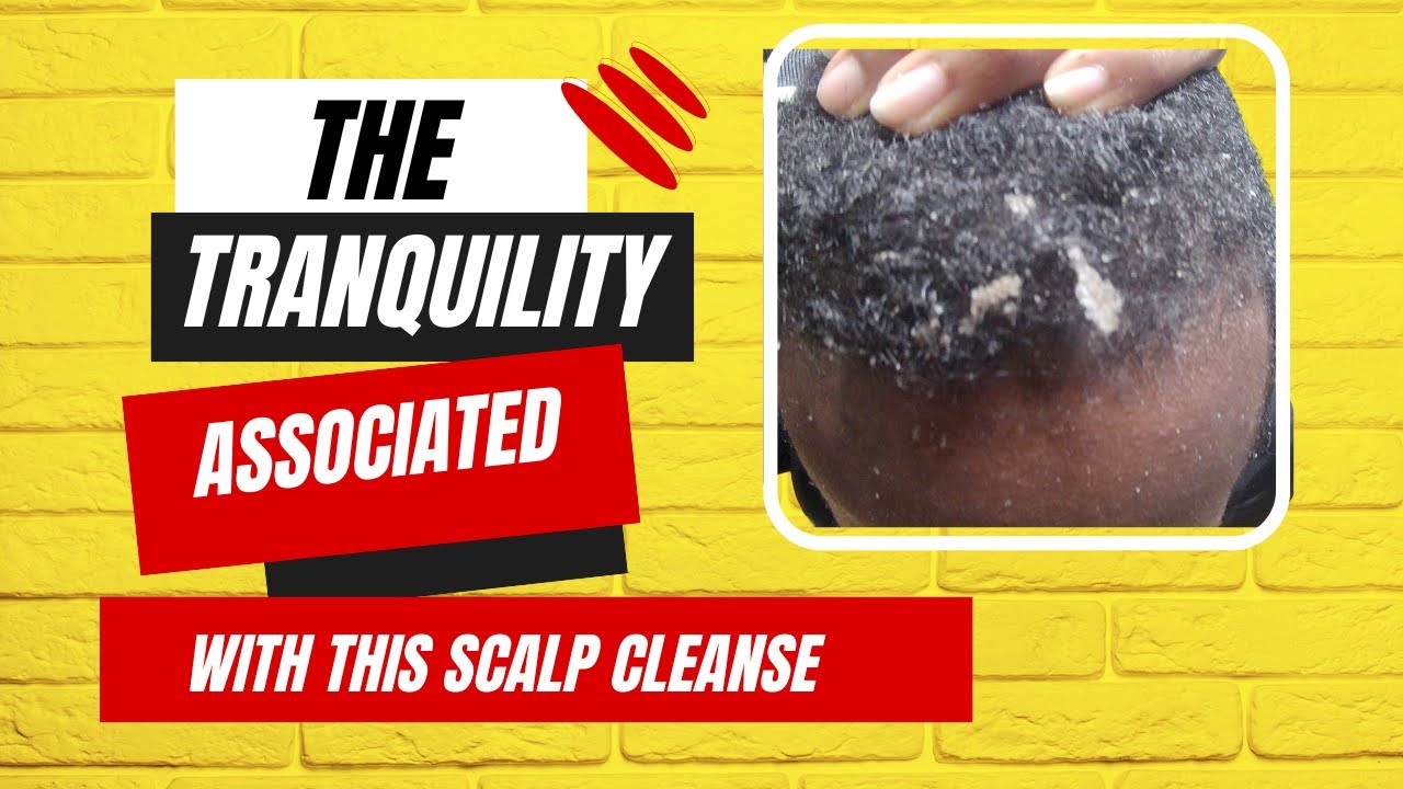 There is tranquility associated with scratch therapy. - YouTube