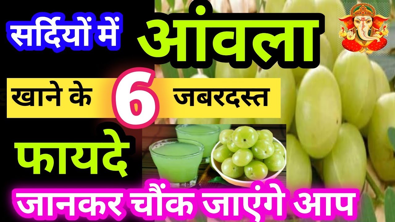 सर्दियों के लिए सुपरफूड है आंवला, इसे खाने के 6 जबरदस्त फायदे|Awala ...