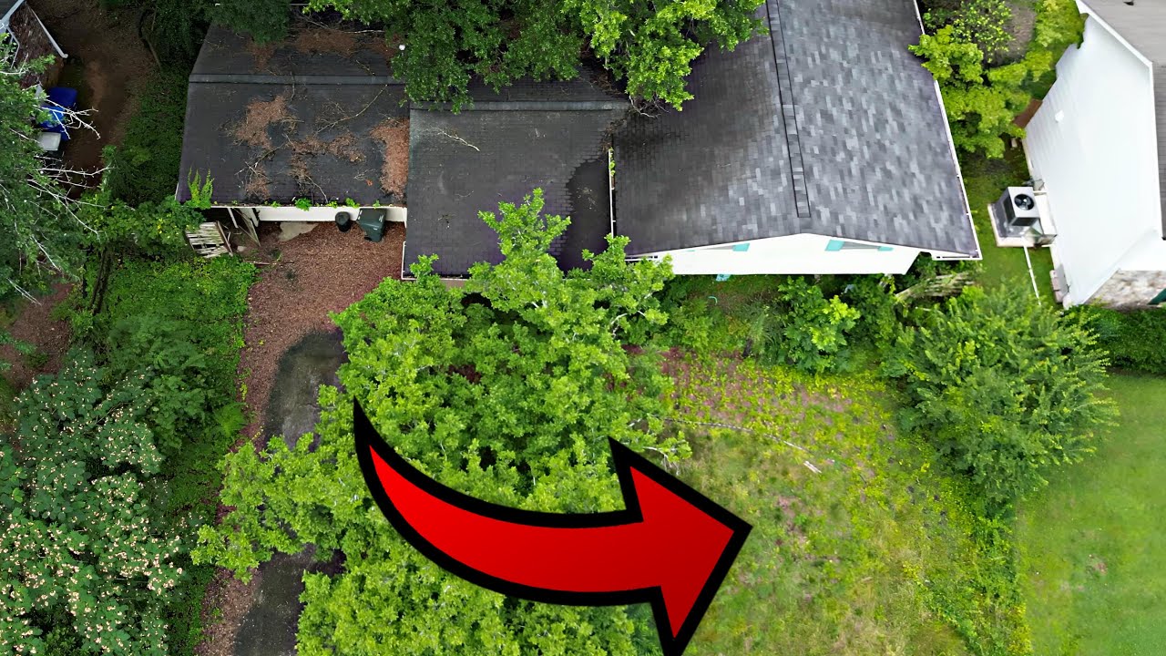 Uncovered an ENTIRE DRIVEWAY Hidden Under Overgrown Grass - YouTube