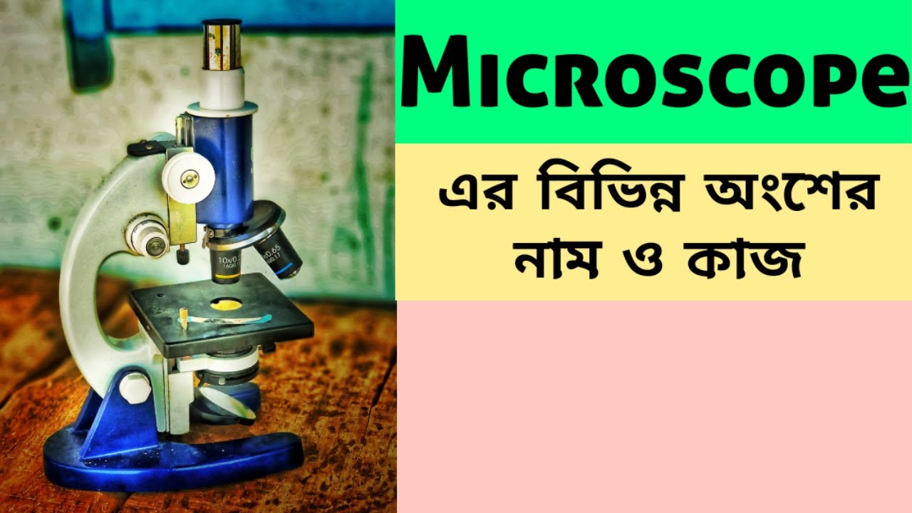 Microscope এর বিভিন্ন অংশের নাম ও কাজ || Must watch for Science ...