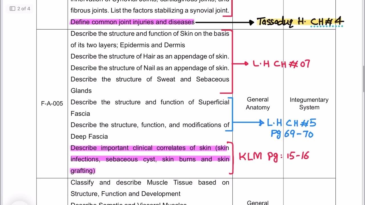 UHS Curriculum 3.0 General Anatomy Marking Block 1 Module 1 - YouTube