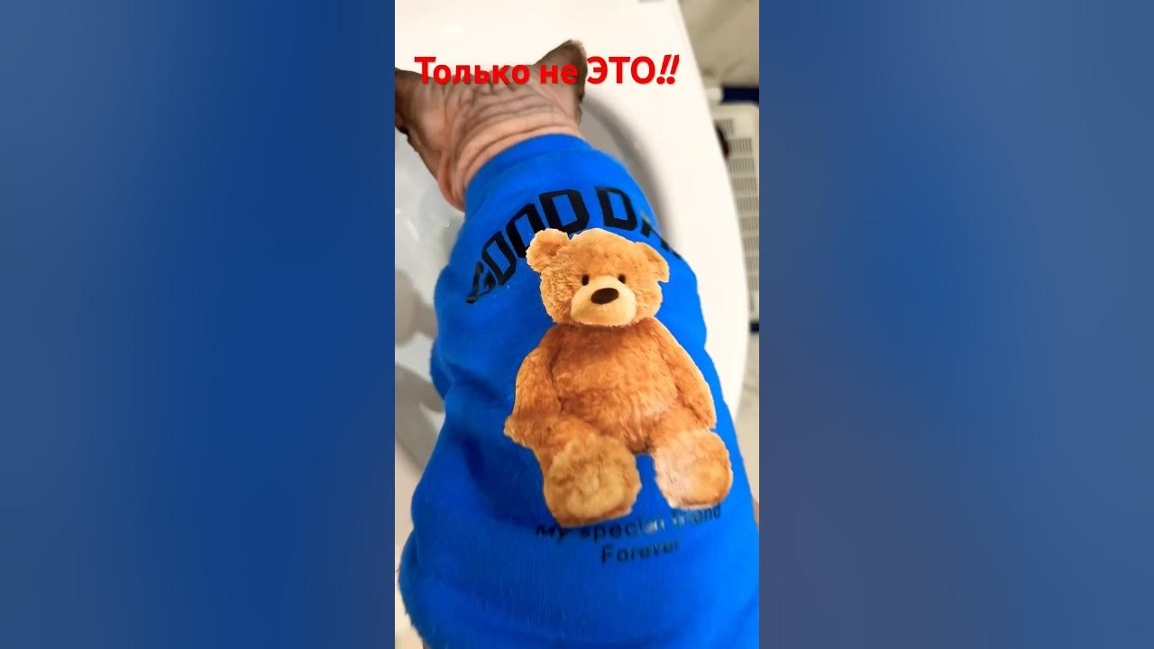 ТОЛЬКО НЕ ЭТО🤦♀️🙅🏼 сфинкс финик Youtube