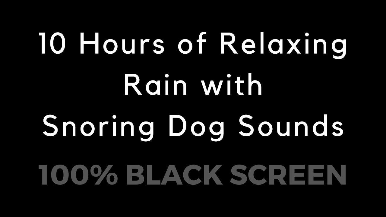 10 Hours of Relaxing Rain with Snoring Dog Sounds / Relaxation ...