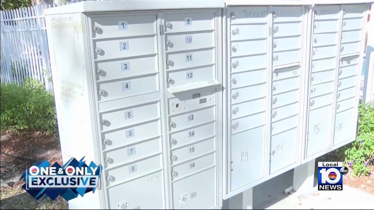 Thieves caught on camera emptying Plantation mailboxes - YouTube