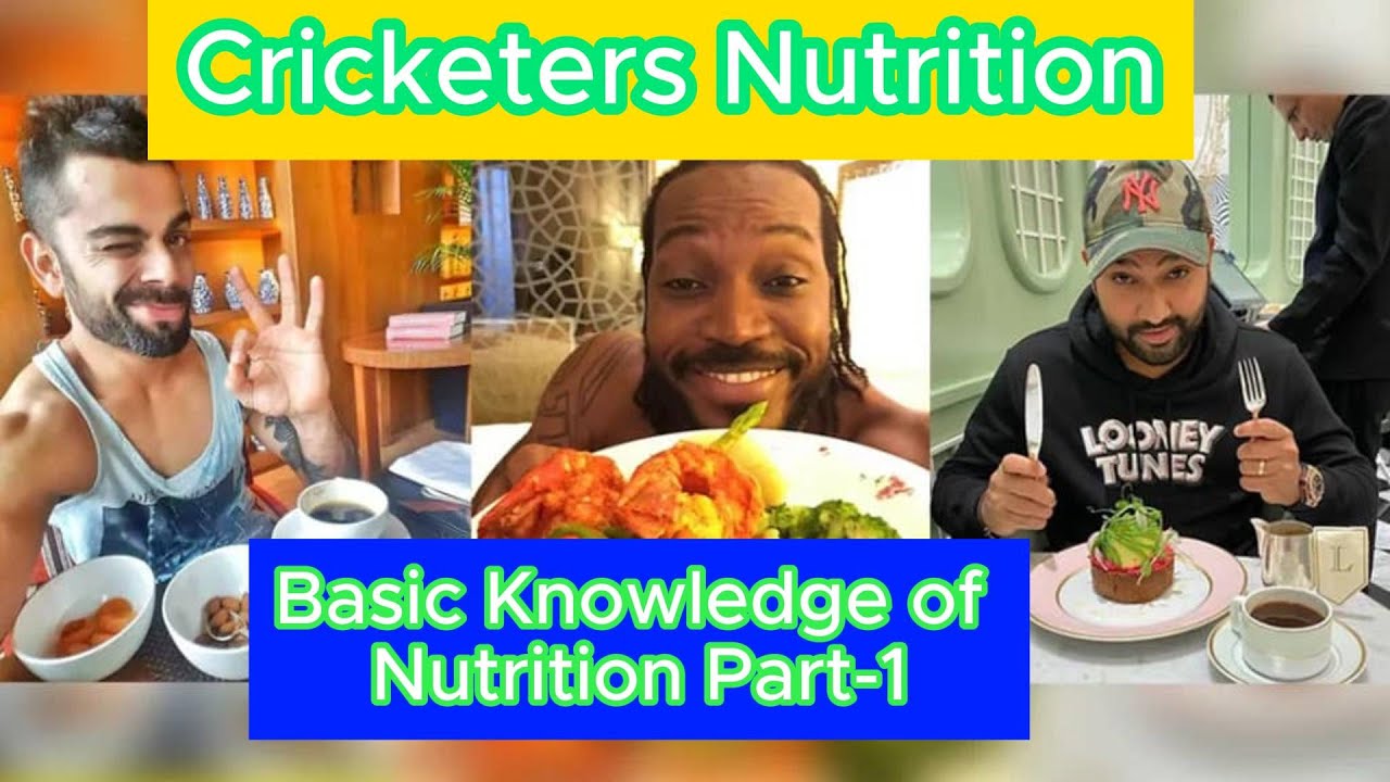 Cricketers Nutrition! Basic knowledge of nutrition(Virat kohli, ms ...