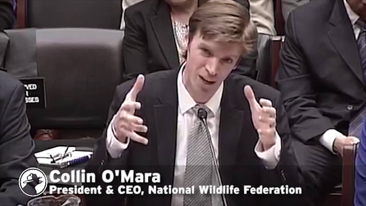 NWF President & CEO Collin O'Mara Testifies on the Renewable Fuel ...