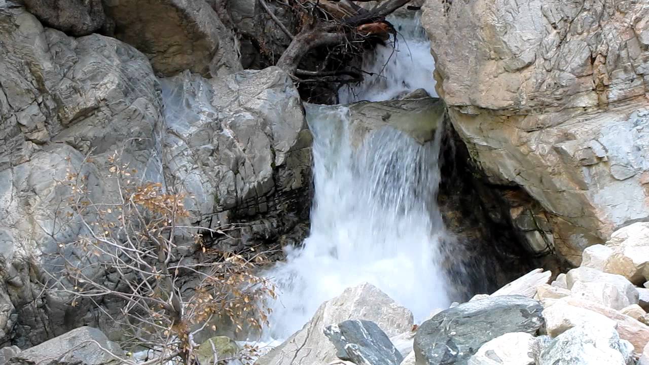 Bird Nests Behind Waterfall - YouTube