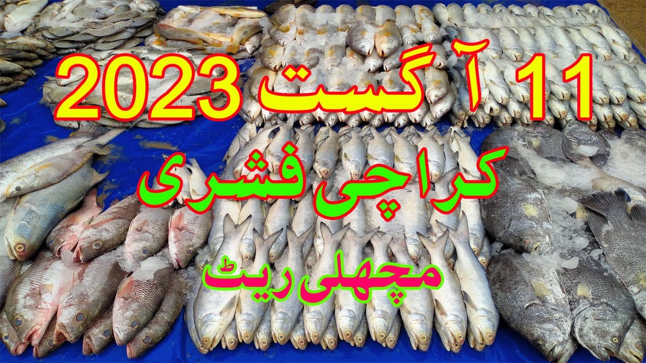 Karachi Fish Price Update || 11 August 2023 || Karachi Fish Rate Dangri ...