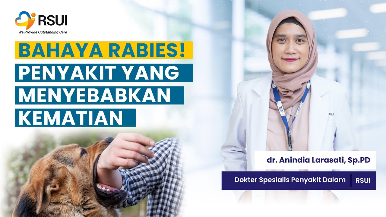 Bahaya Rabies! Penyakit Yang Menyebabkan Kematian - YouTube