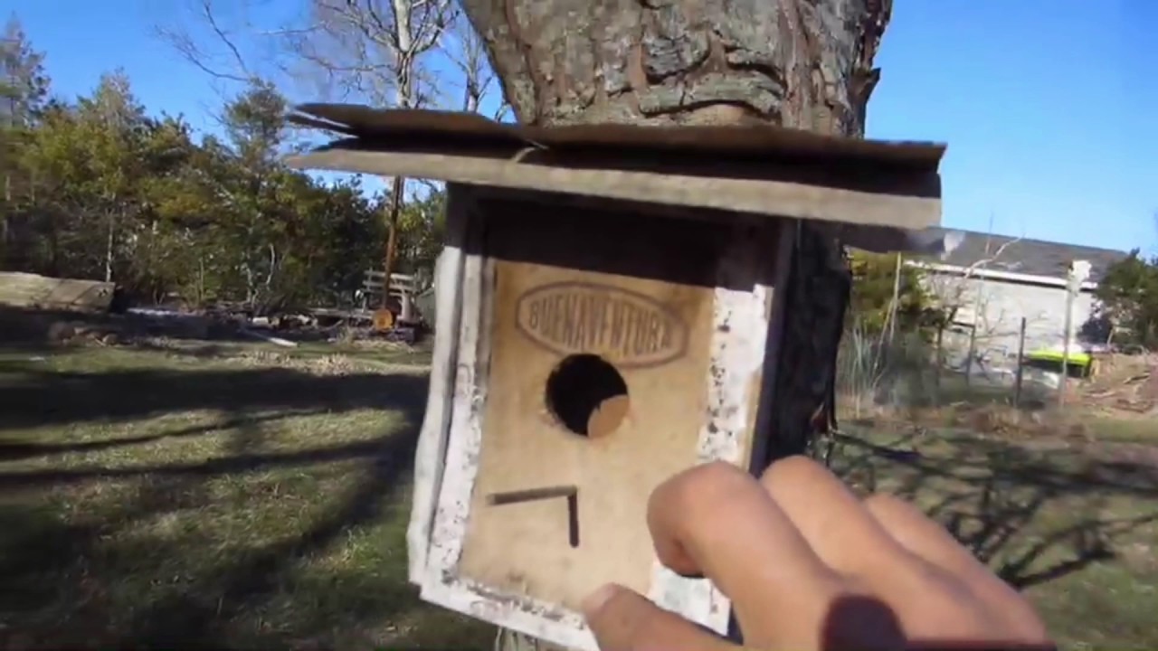 Cigar Box Birdhouses - YouTube