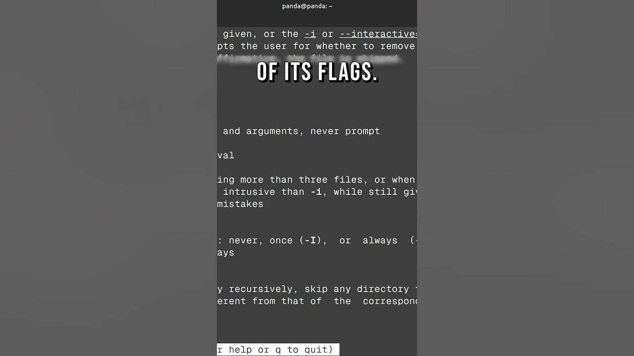 Everyone needs to know this linux shell command - YouTube