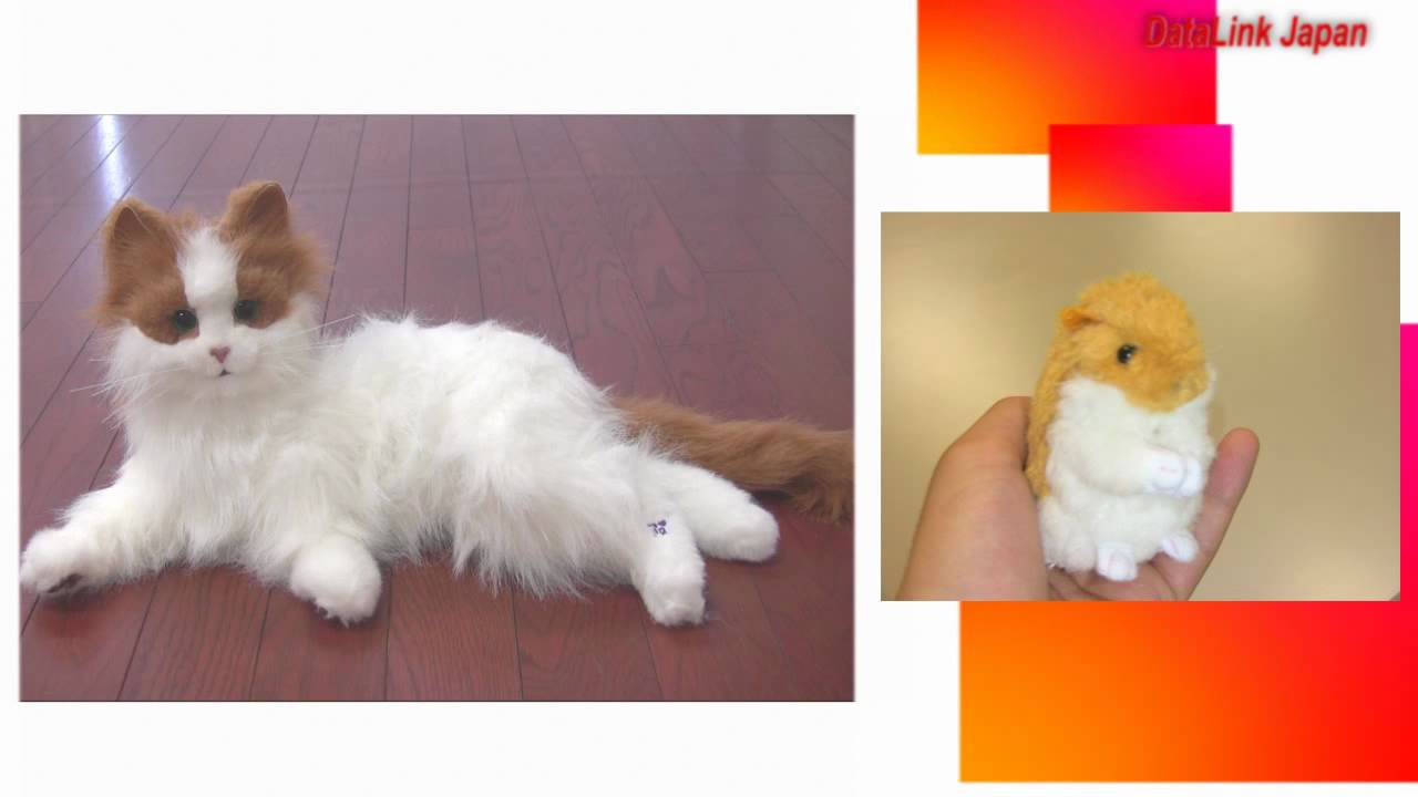 Sega Yume (Dream) Pet Series Robotic Cat (Neko) and Hamster - YouTube