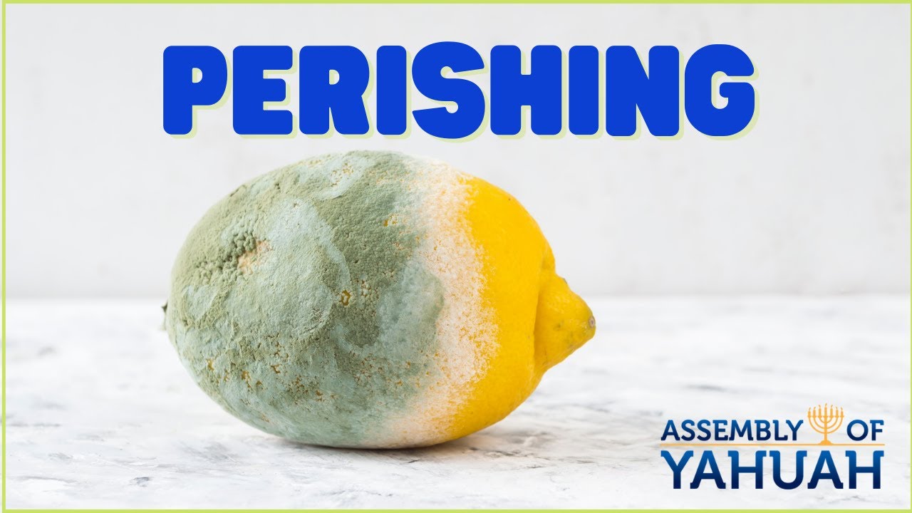 Perishing (Object Lesson: Lemons) - YouTube